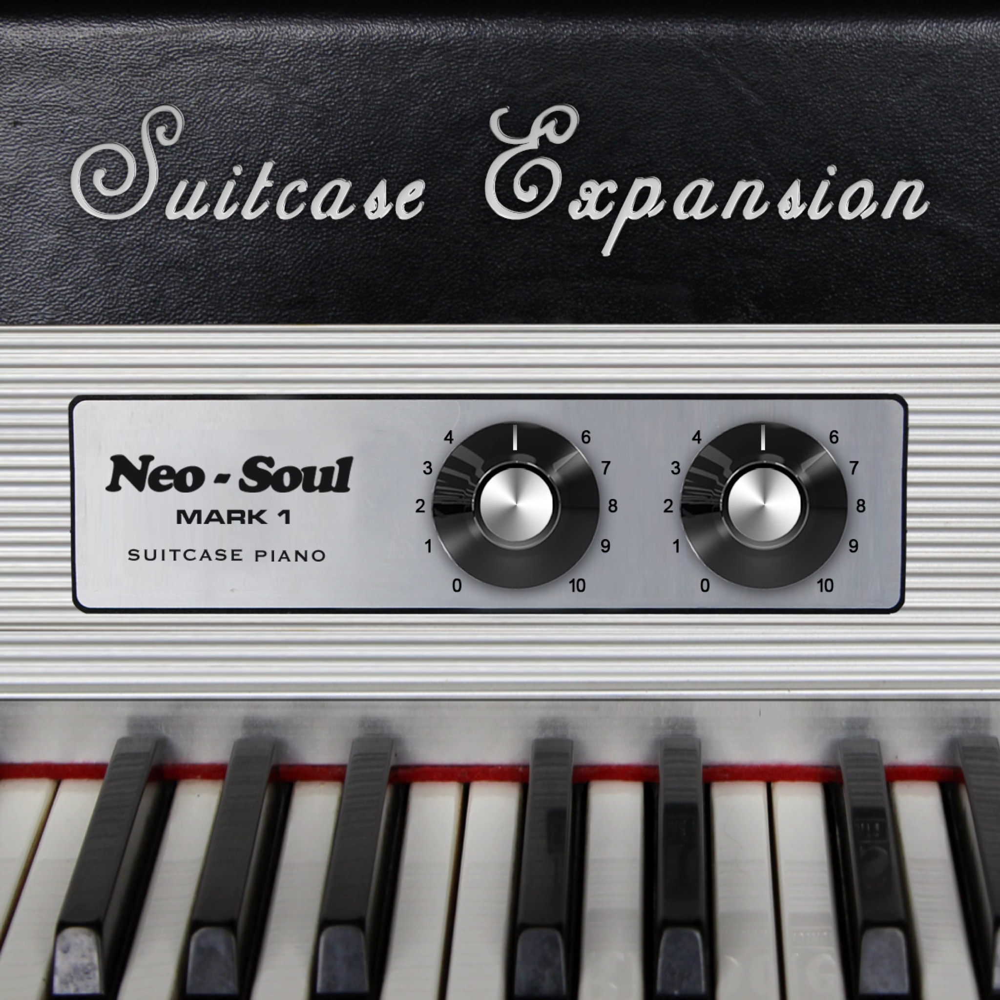 Pure Synth® Suitcase Expansion – Gospel Musicians